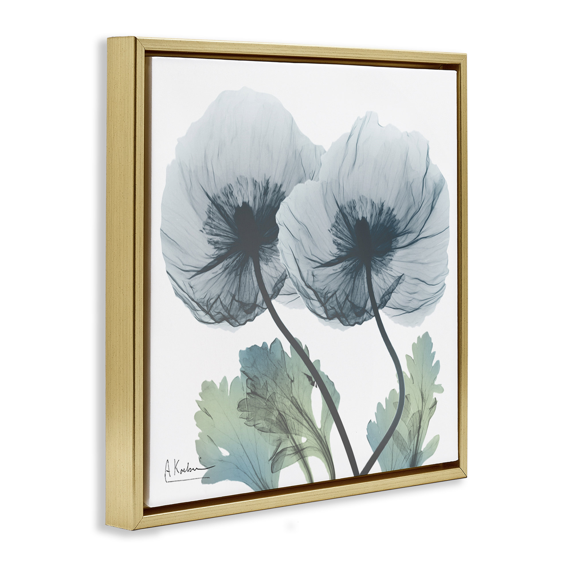 Mercer41 Double Modern Flower Blossoms Floating Frame, design by Albert ...