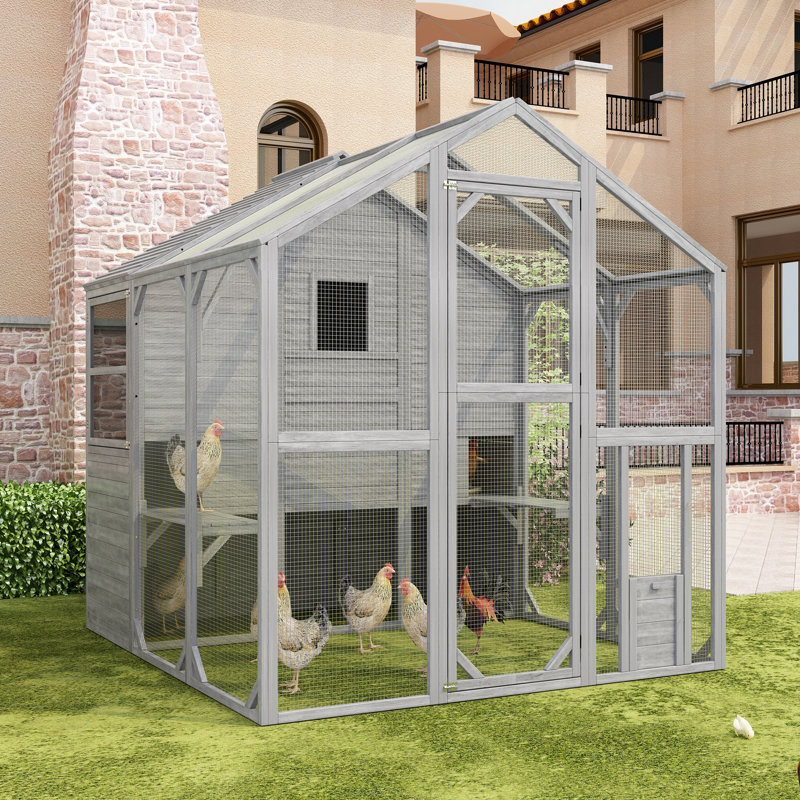 Tucker Murphy Pet™ Erminio 33.53 Square Feet Chicken Coop with Chicken ...