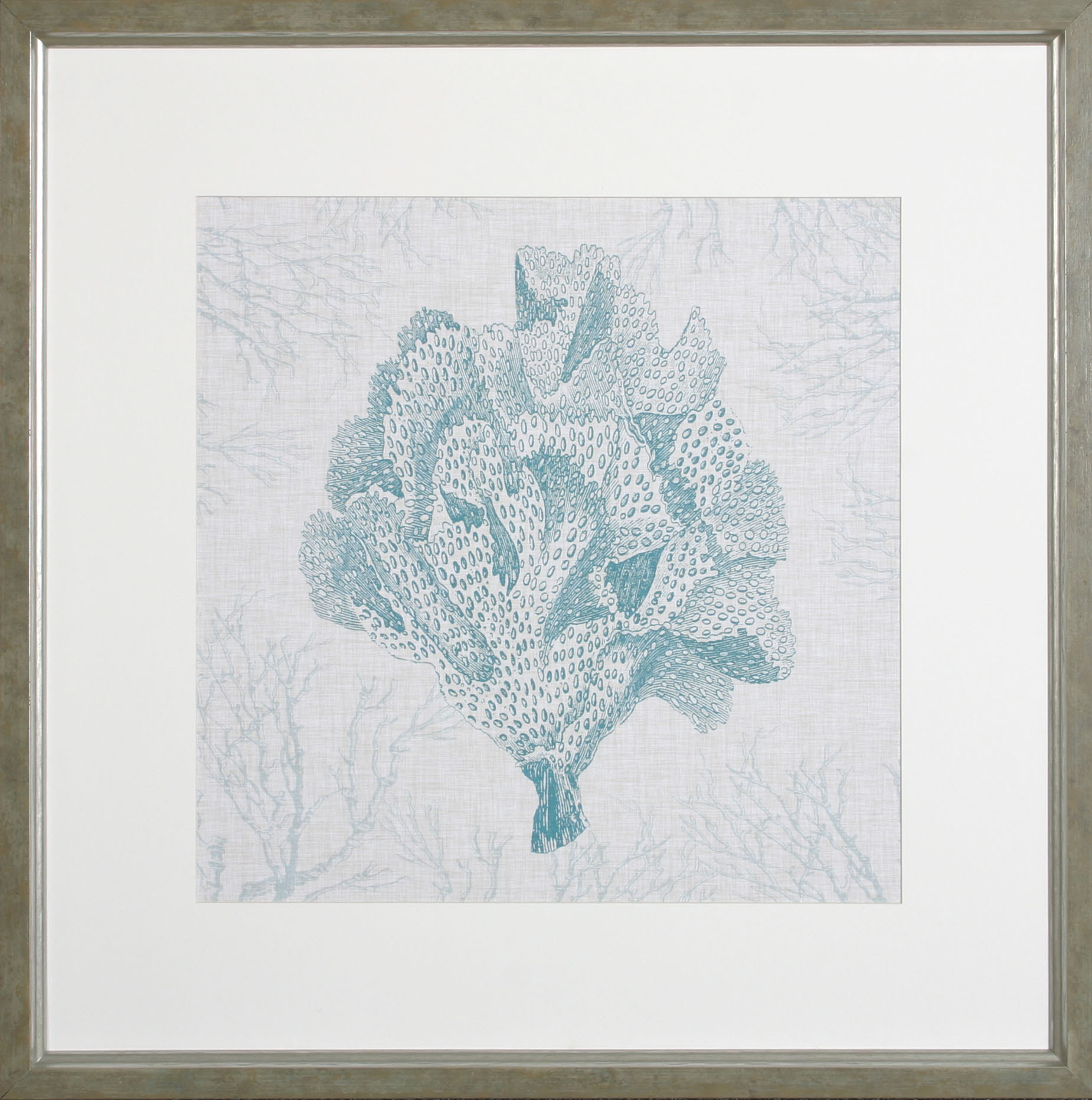 Shadow Catchers 'Coral Motif IV' Framed Graphic Art | Wayfair