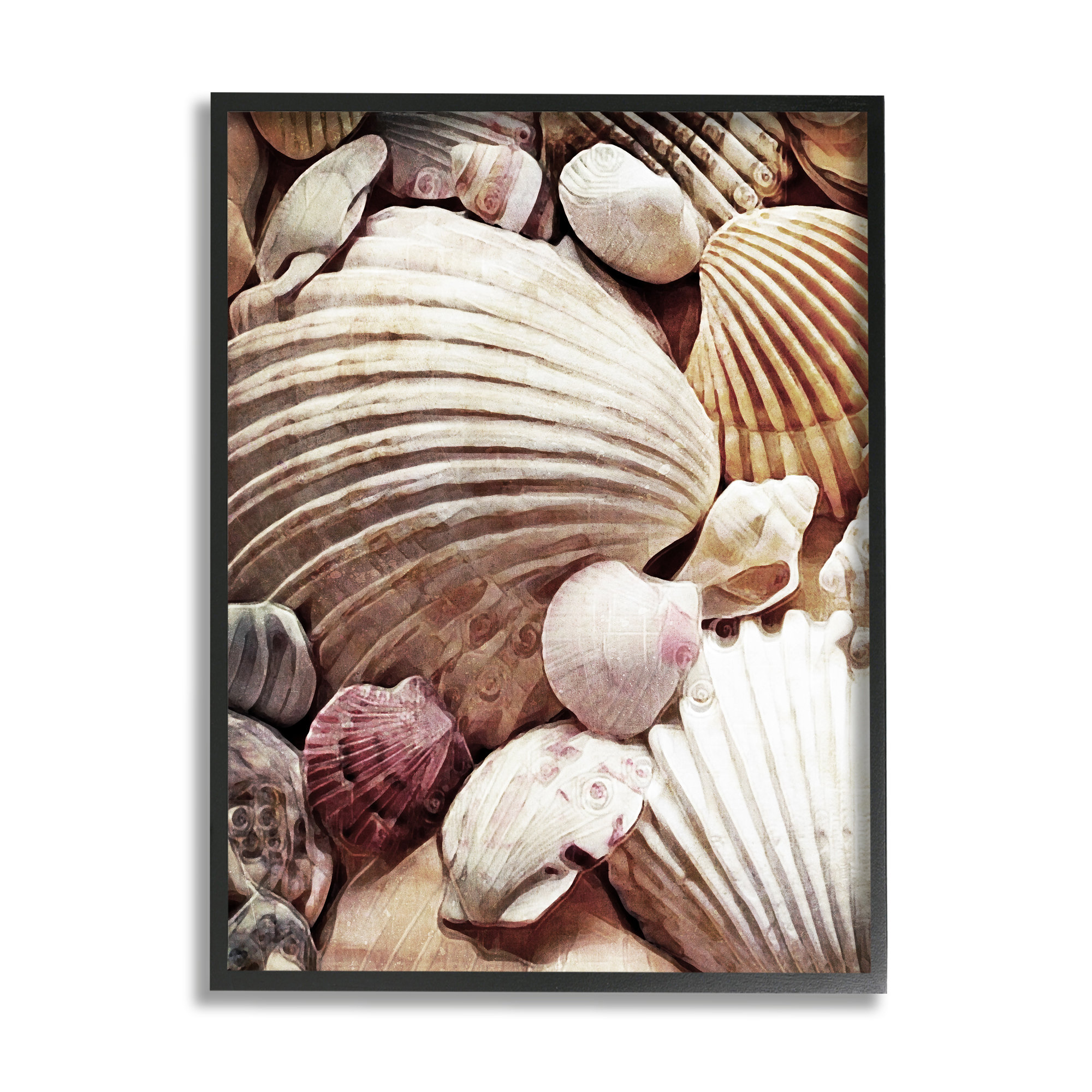 Stupell Industries Various Nautical Clam Conch Shells by Ashley ...