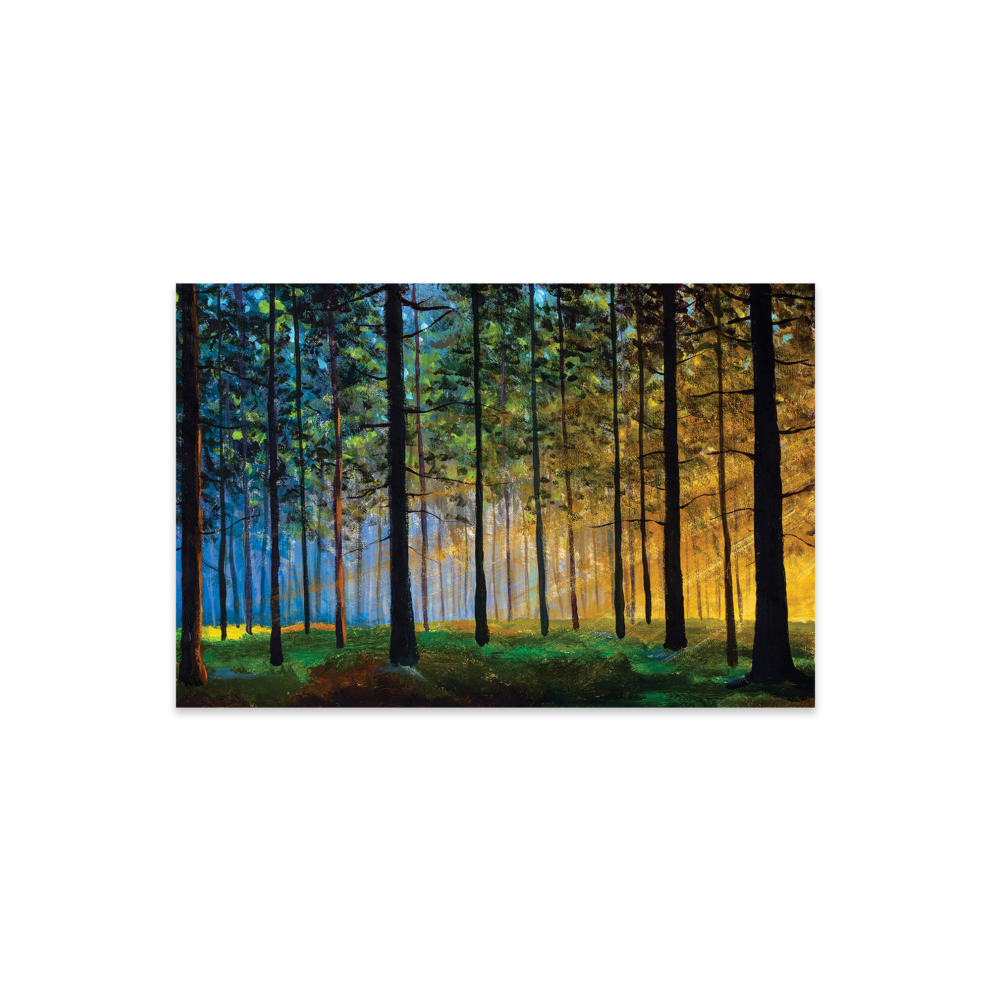 Winston Porter Sun Creeping Through A Forest Landscape On Plastic ...