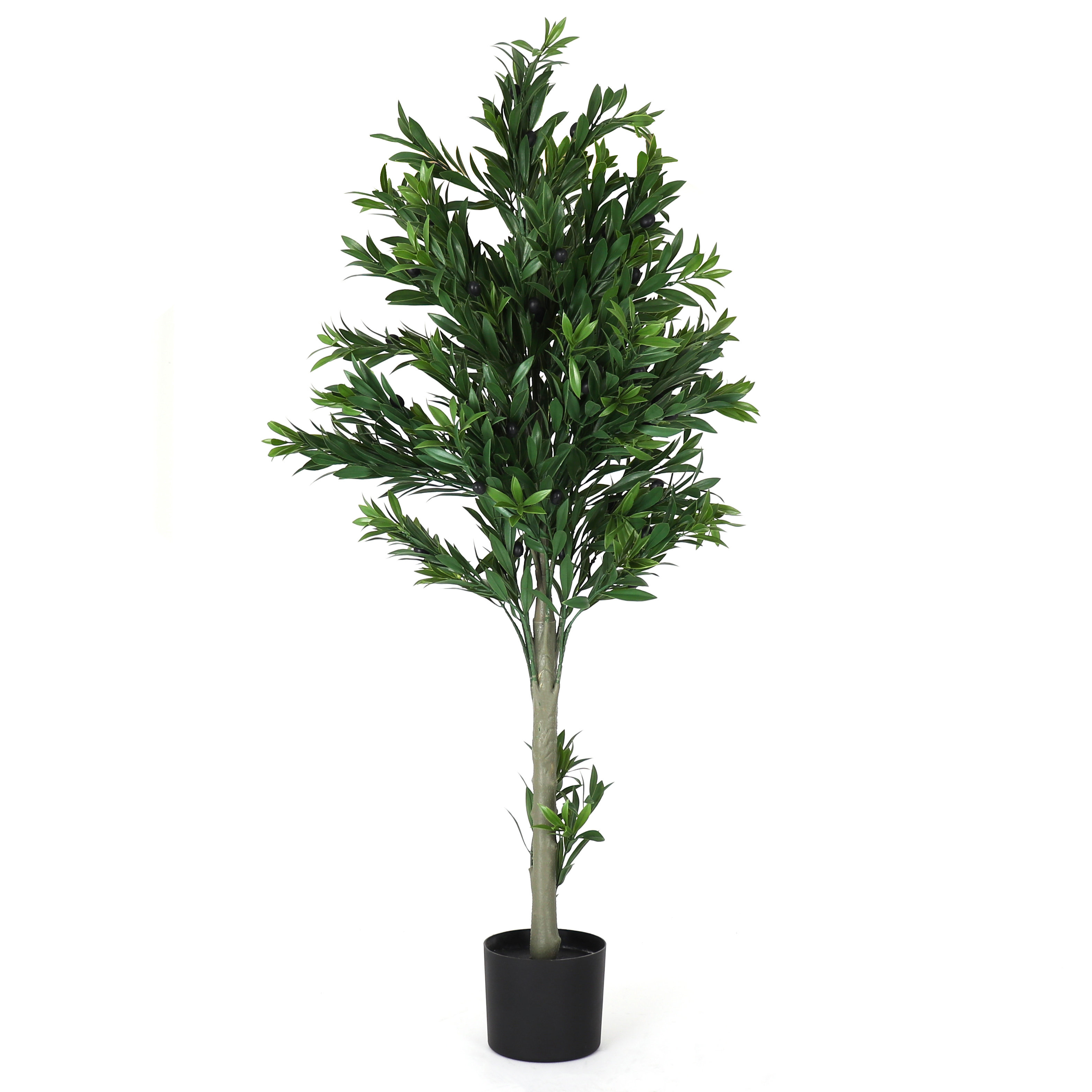 Primrue Potted Olive Tree | Wayfair