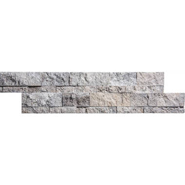Parvatile (38178) Silver Split Face 6X24 Ledger Panel Mosaic | Wayfair