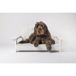 Tucker Murphy Pet™ Dog White Adirondack Chair Bed (Large) & Reviews ...