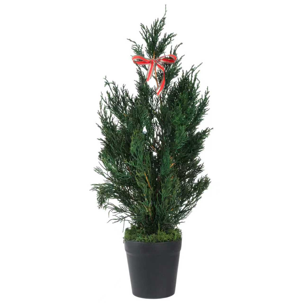 The Holiday Aisle® 15" Tabletop Christmas Tree Made of Dried Cypress ...