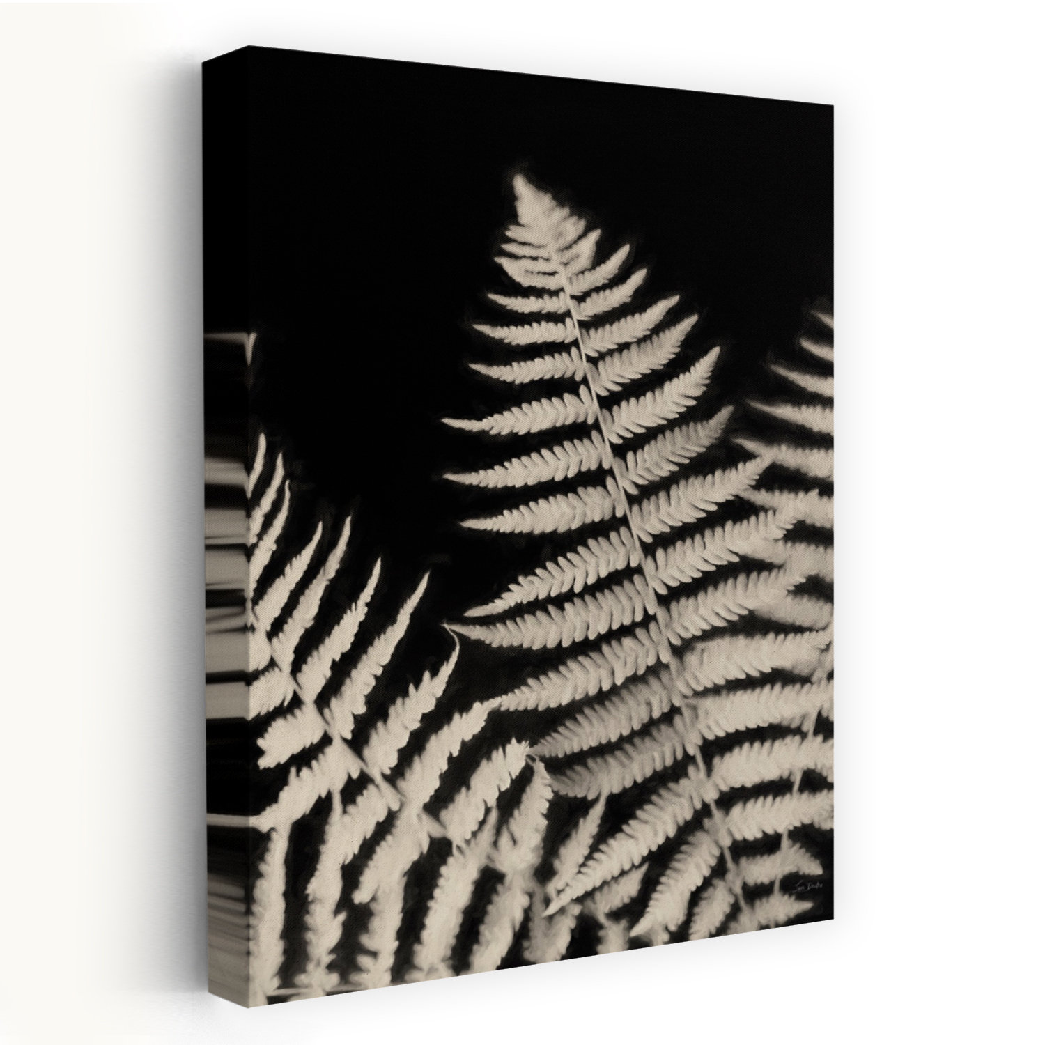 Latitude Run® Forest Ferns III Abstract Contemporary Fern Nature Art ...