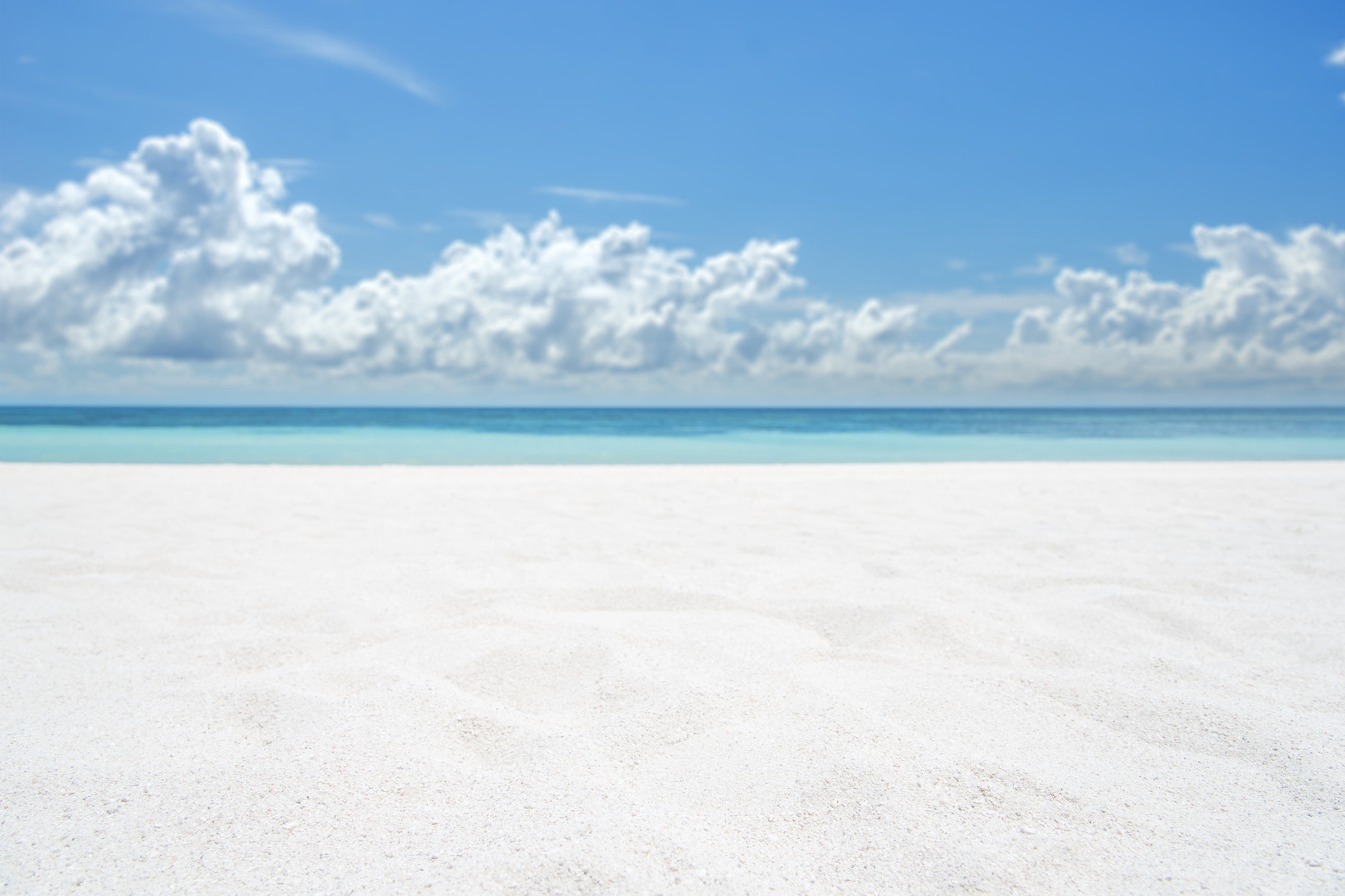 Highland Dunes Empty Sandy Beach by Liunian | Wayfair