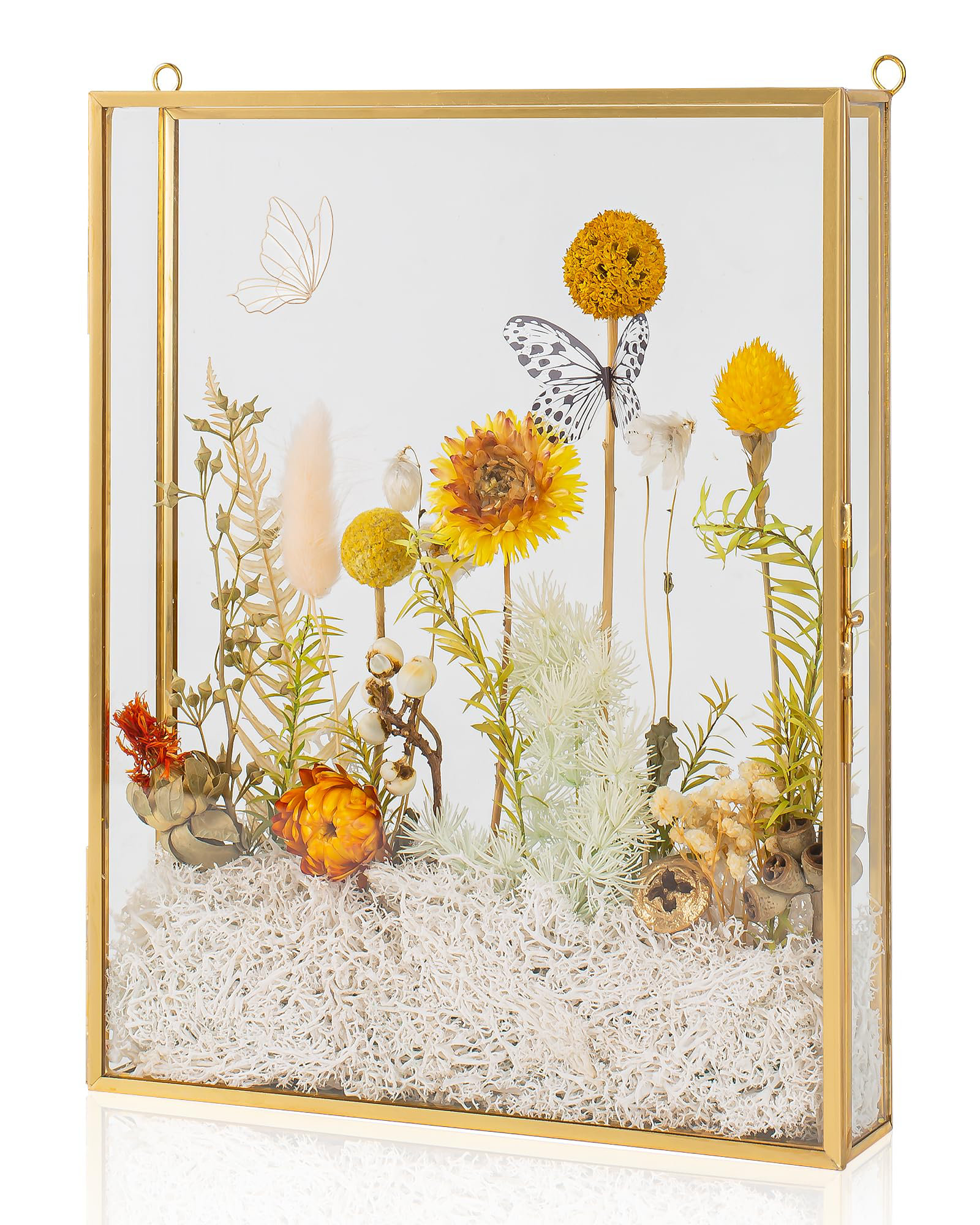 Everly Quinn Shadow Box Frame 8X10, Deep Glass Shadow Box Display Case ...