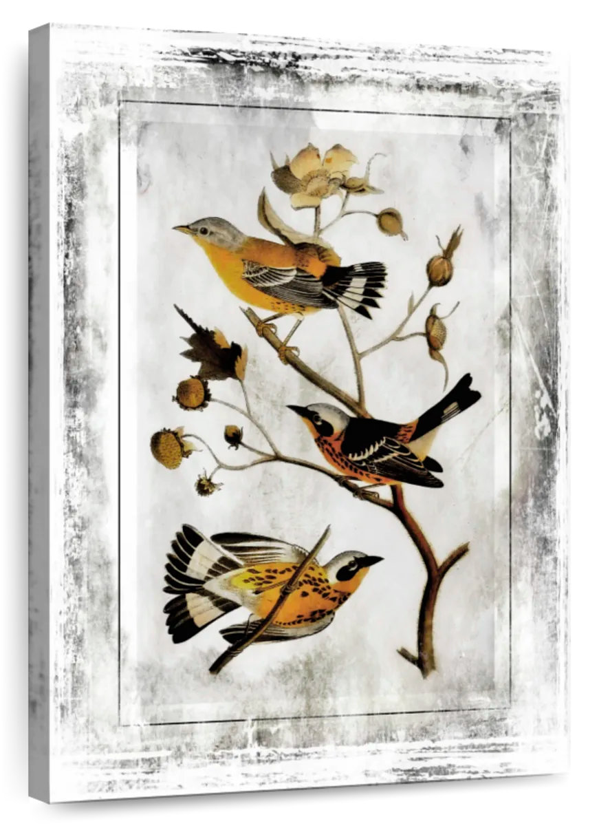 Millwood Pines Birds With Class III | Wayfair