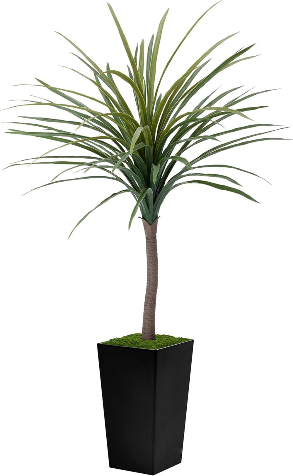 Primrue Artificial Agave Plant, Artificial Tropical Silk Tree For Home ...