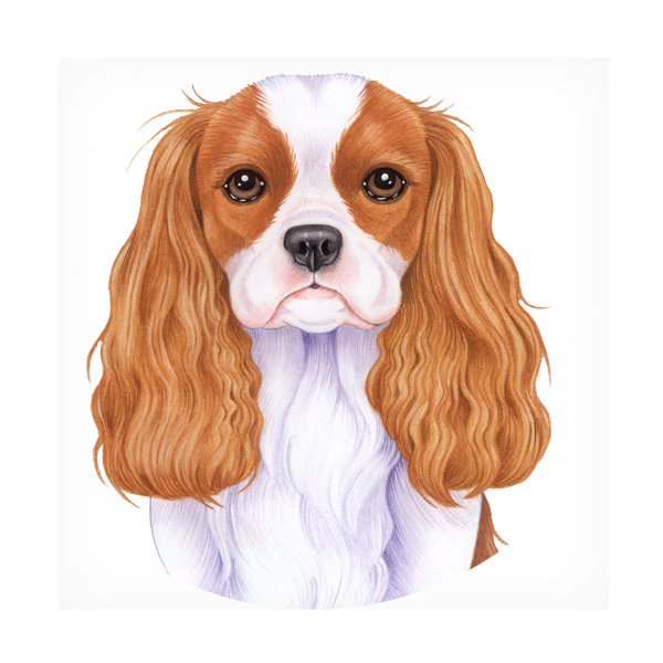Winston Porter Cavalier King Charles On Canvas by Tomoyo Pitcher Print ...