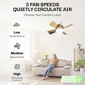 Bell + Howell Socket Fan Bronze Ceiling Fan with Warm Light and Remote ...