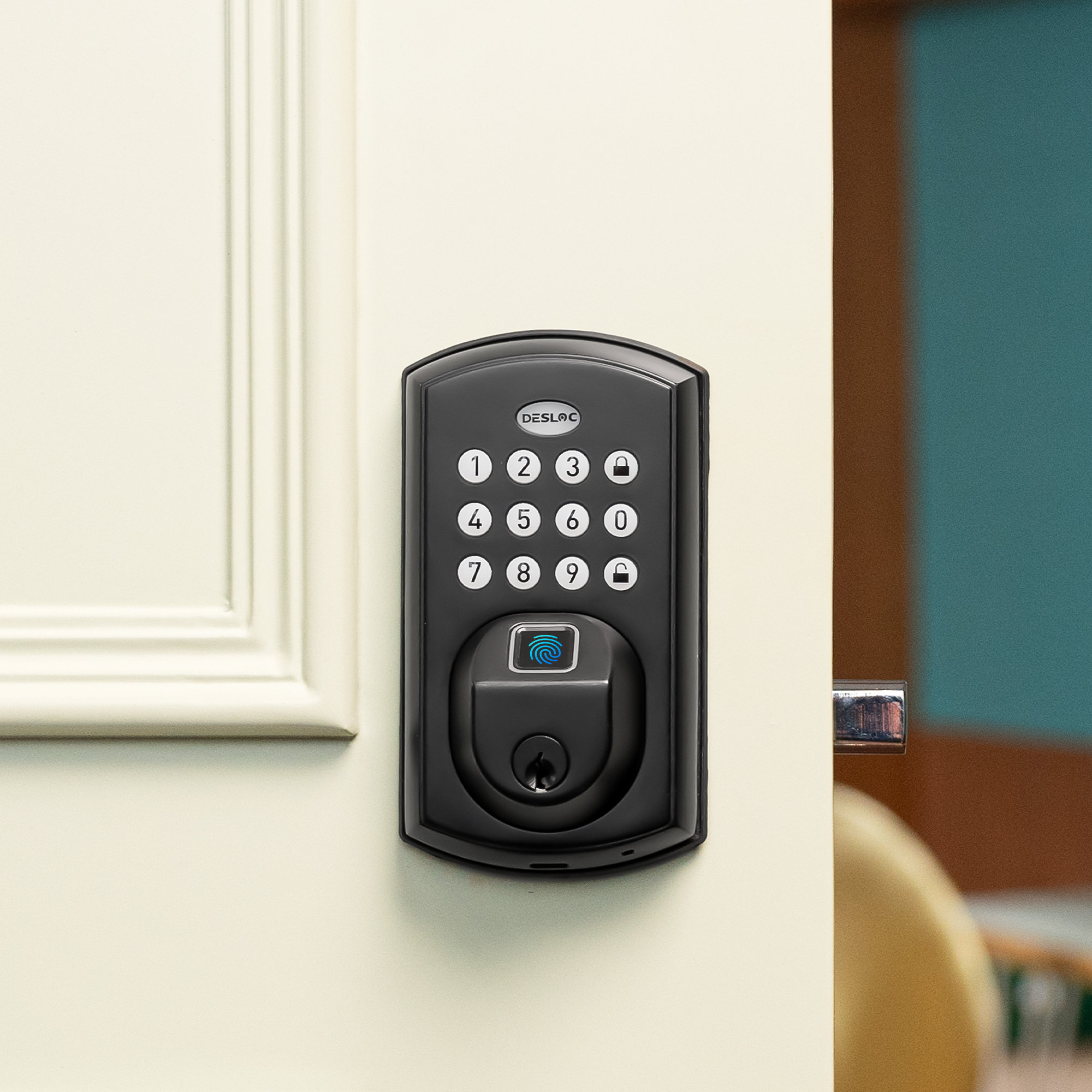 Desloc A100f Keyless Entry Door Lock, Fingerprint Door Lock, Keypad ...