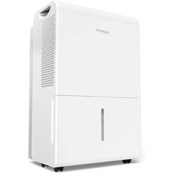 hOmeLabs 3,000 Sq. Ft Energy Star Dehumidifier for Large Rooms and ...