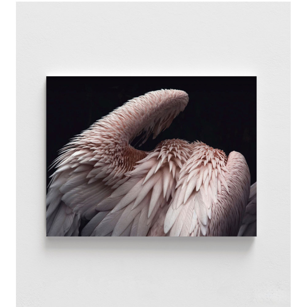 WeFrameArt Pink Angel Wings Photo Over The Bed Decor, Soft Delicate ...