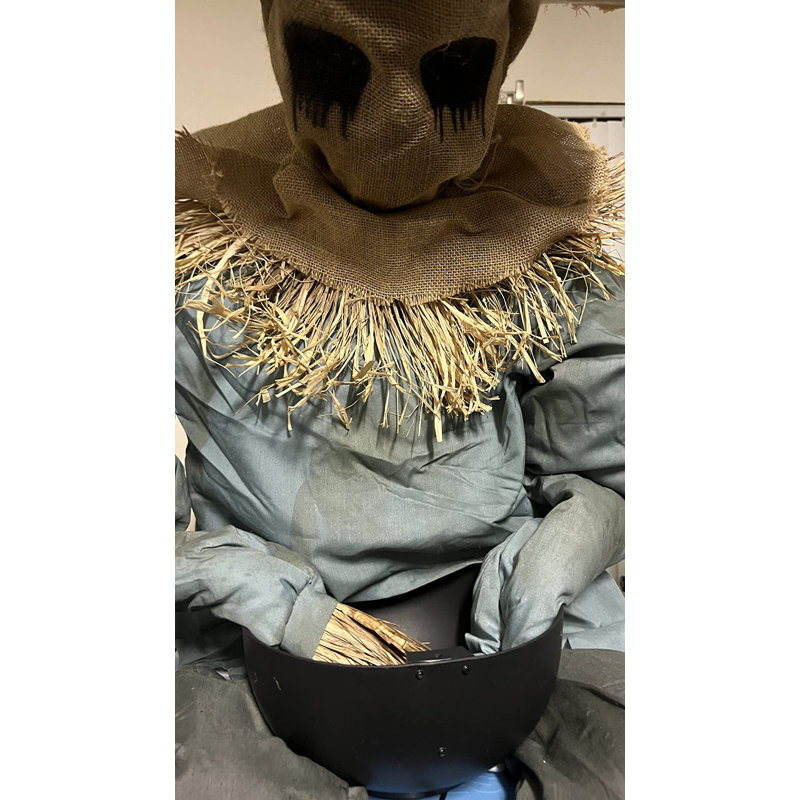 The Holiday Aisle® Halloween Sitting Scarecrow Animatronic , Scary ...