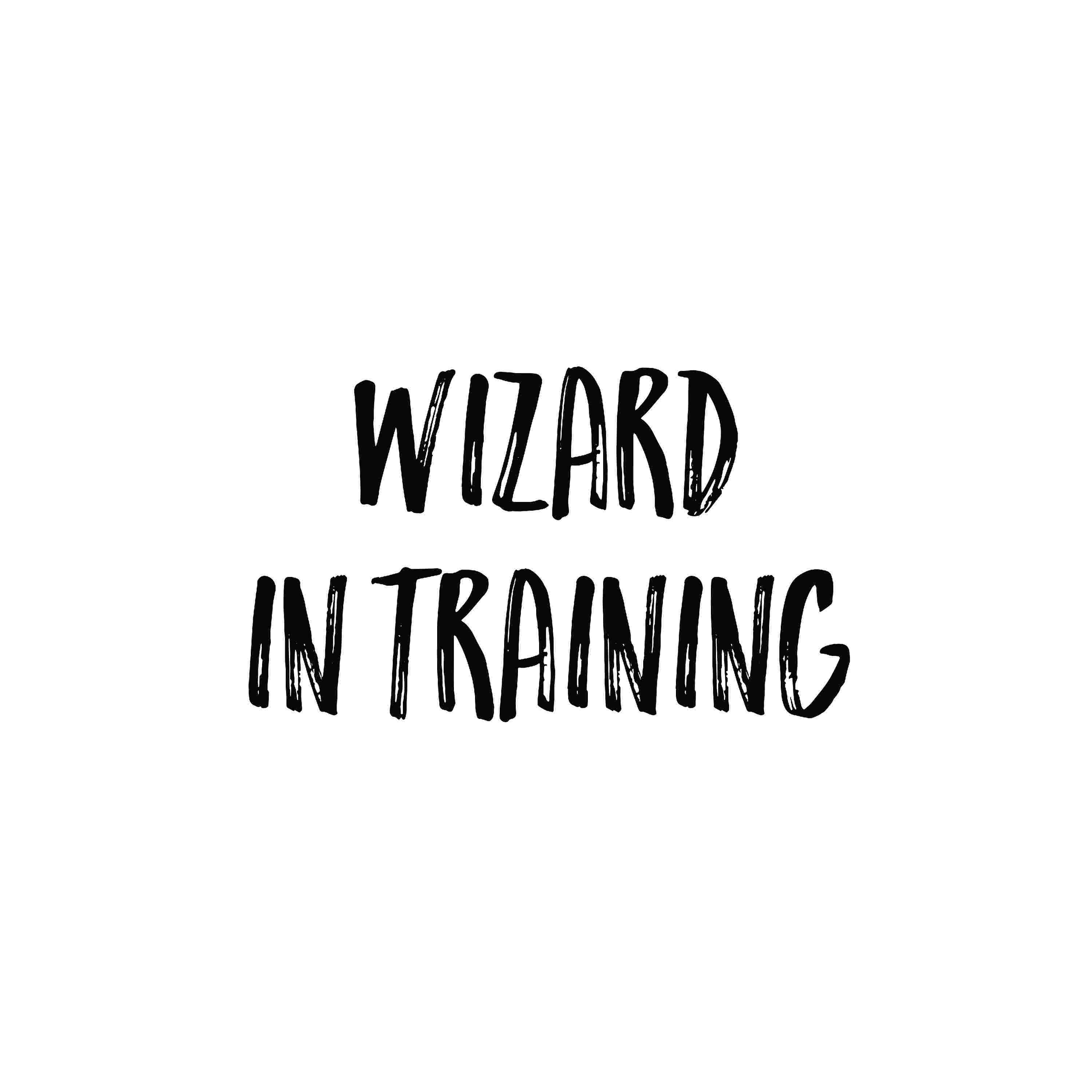 Trinx Wizard - Wrapped Canvas Textual Art | Wayfair