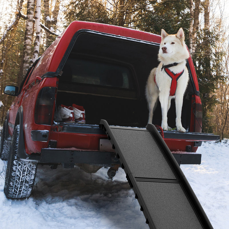 Petmaker PETMAKER 61-Inch Folding, Nonslip Dog Ramp, Black & Reviews ...