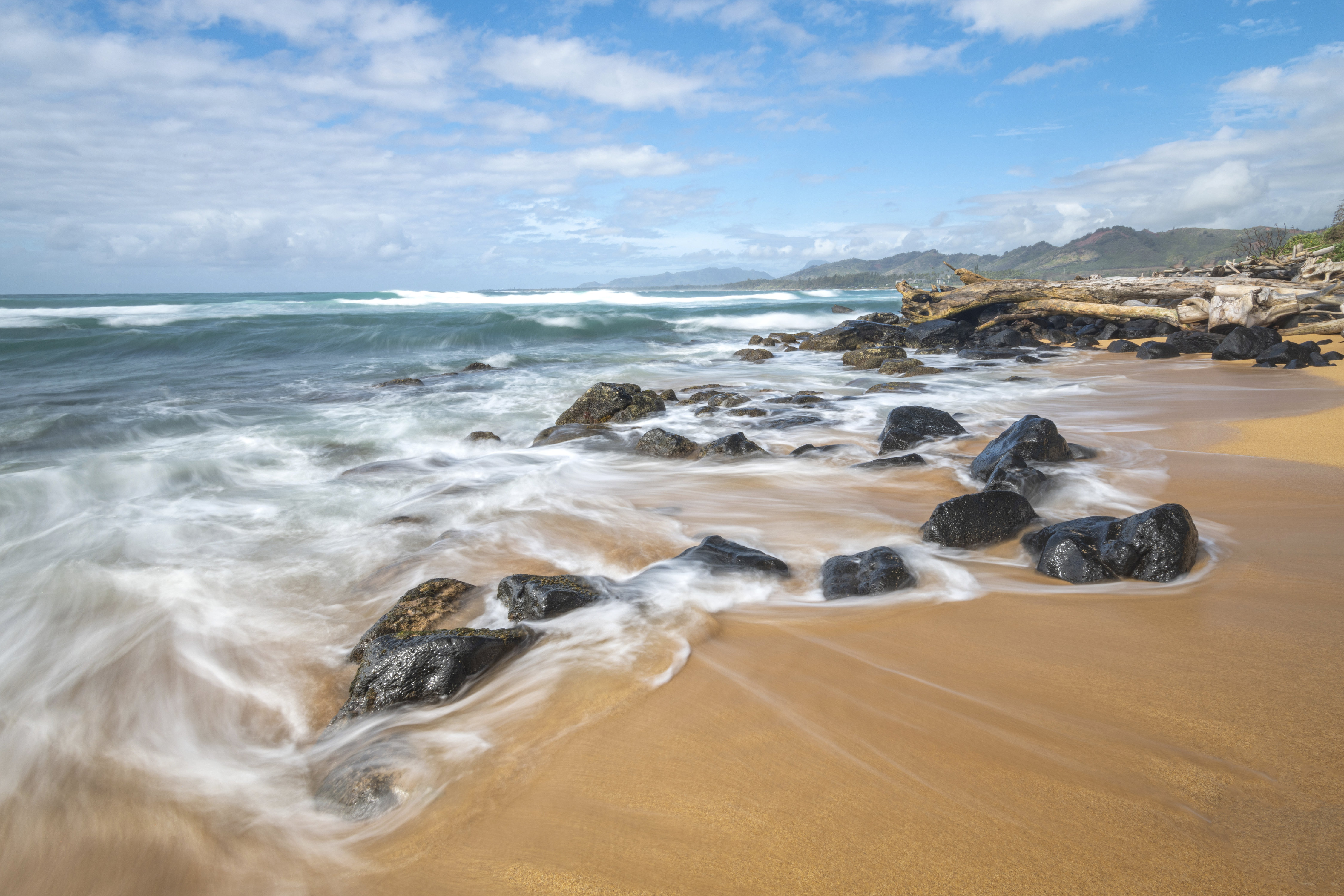 Highland Dunes Adreann Sunny Retreat II On Canvas by Danny Head Print ...