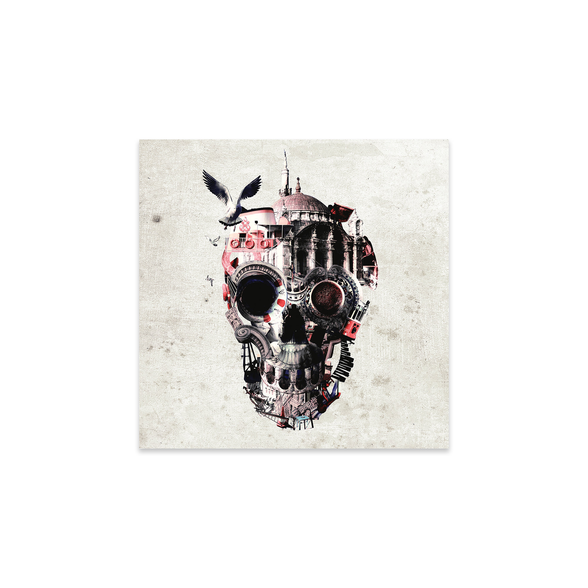 Trinx Istanbul Skull I Square On Glass by Ali Gulec Print | Wayfair