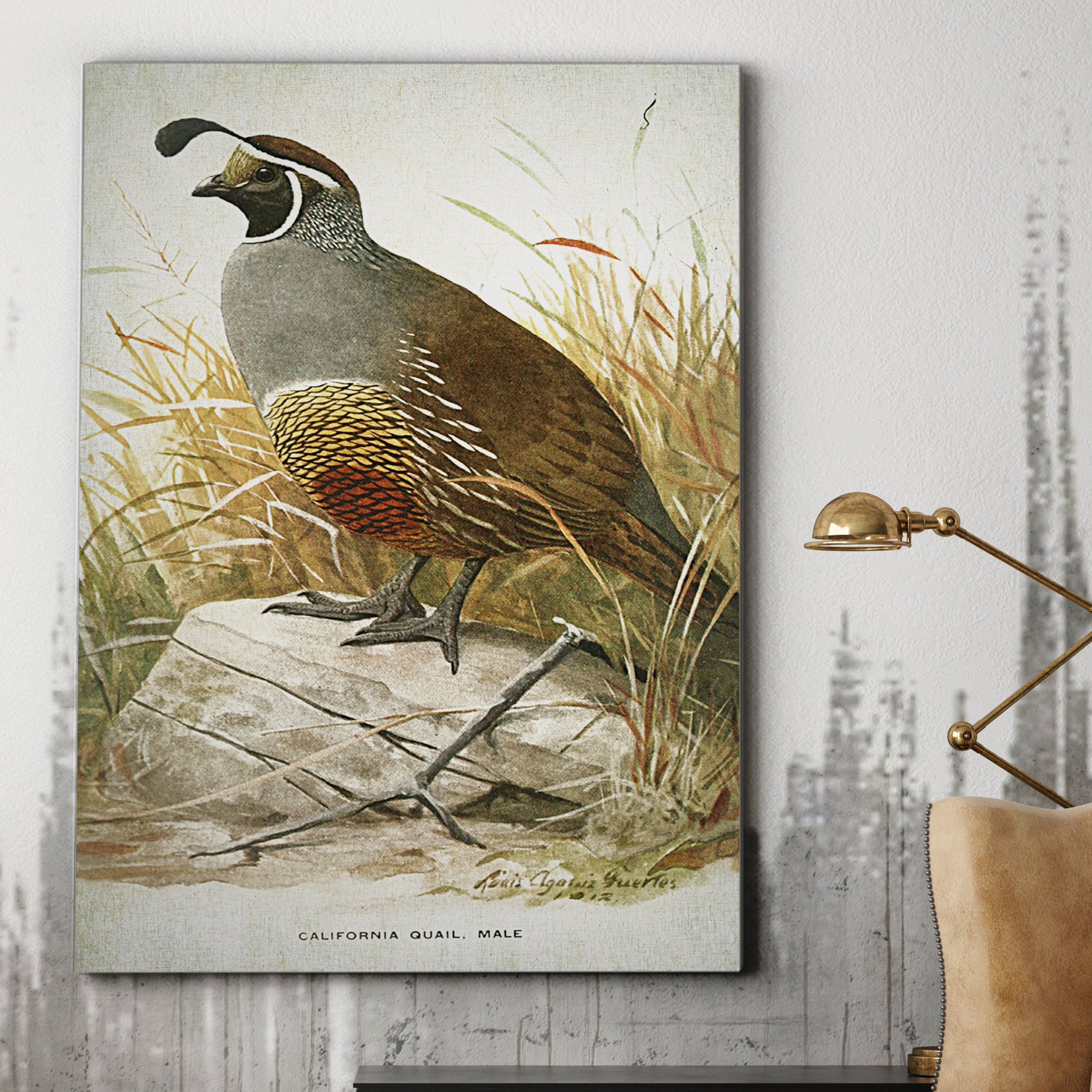 Alcott Hill® Aviary Drawing III On Canvas Print | Wayfair