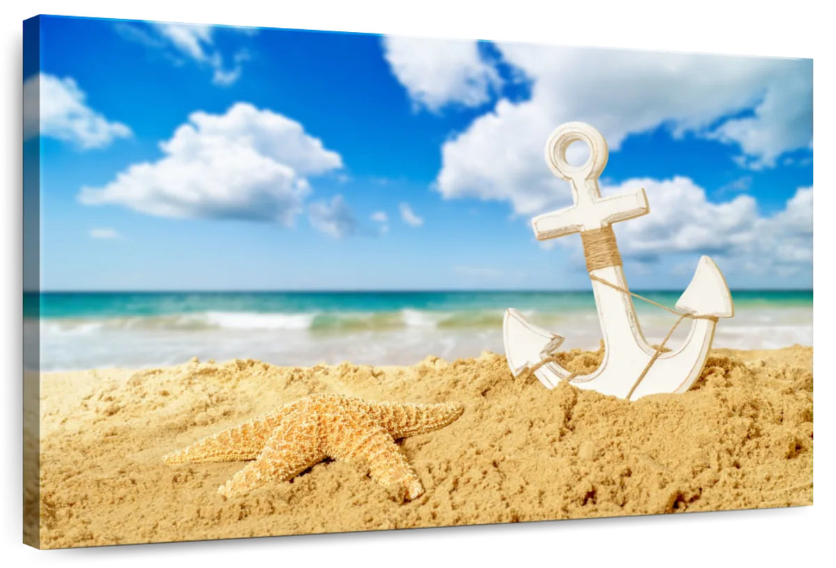 Elephant Stock Anchor Ashore - Wayfair Canada