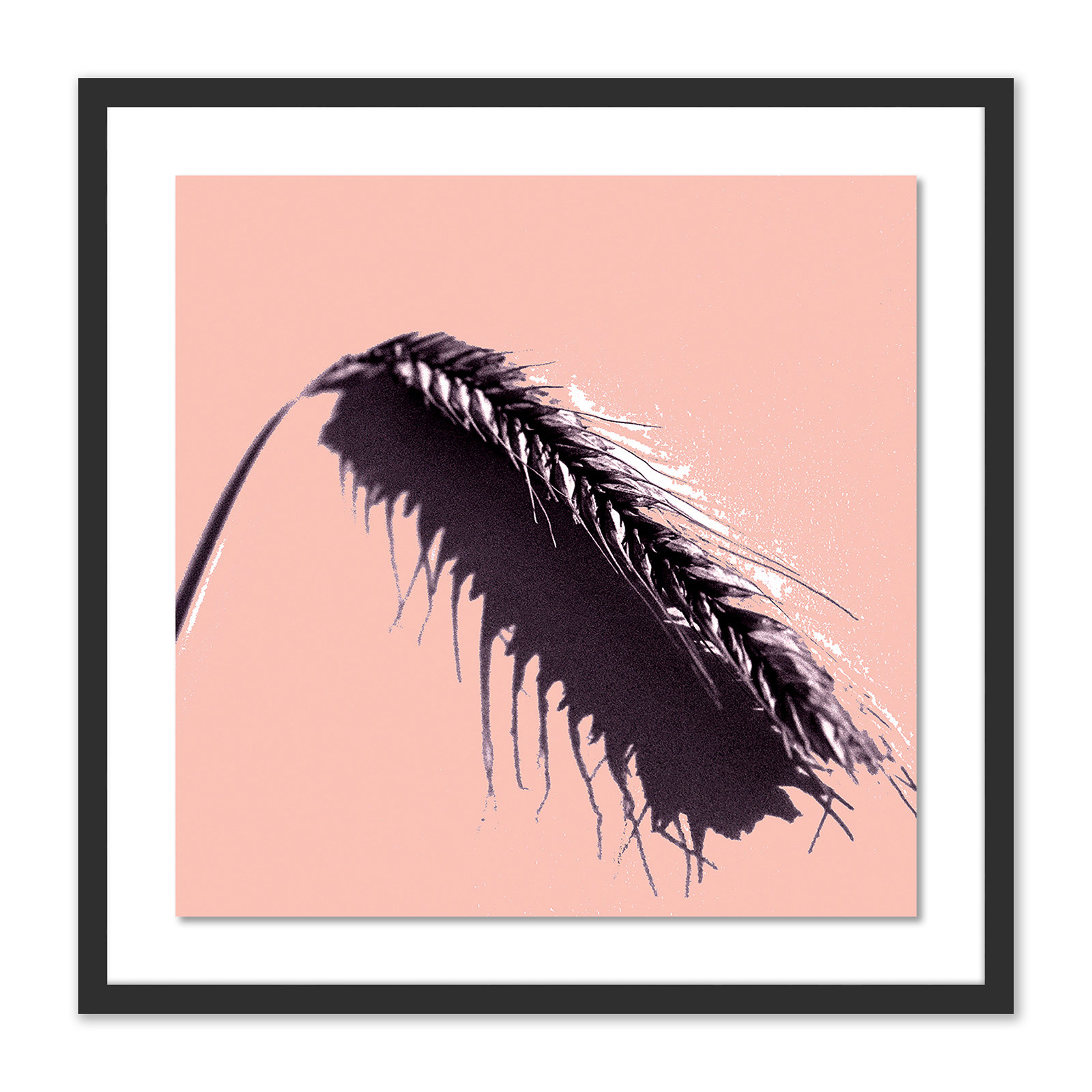 Four Hands Art Studio Pink Straw by Pernille Westh - Picture Frame ...