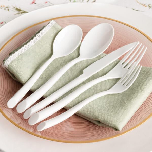 EcoQuality Disposable White Flatware Set 5 in 1 - Wayfair Canada
