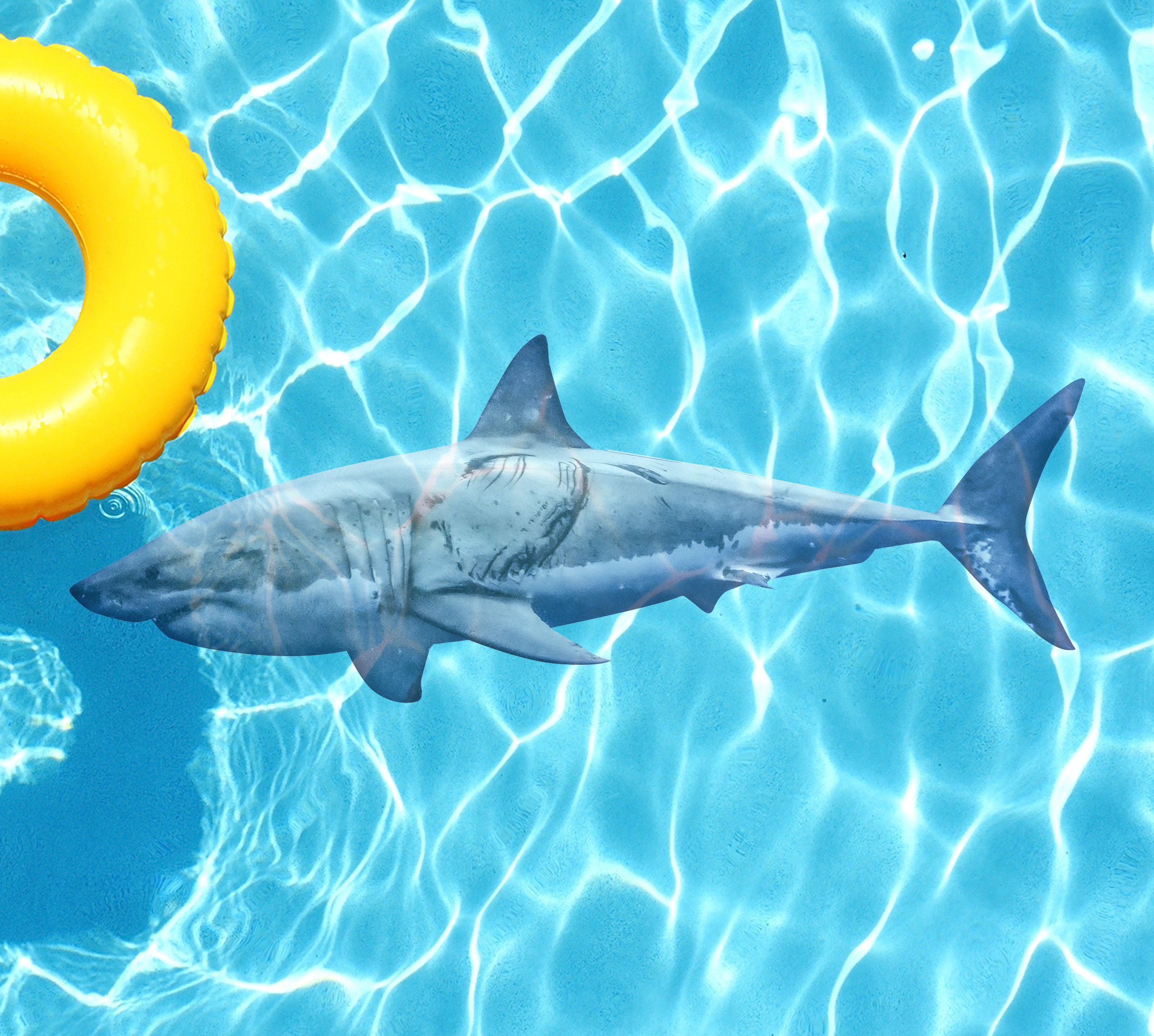 Trinx Shark Full Body Underwater Pool Mat Tattoo - Wayfair Canada