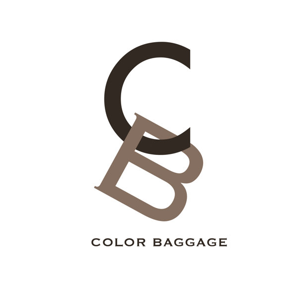 Color Baggage | Wayfair