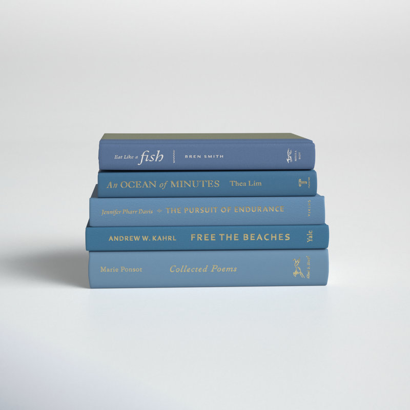 Birch Lane™ Bingham Modern 5 Piece Decorative Book & Reviews | Wayfair