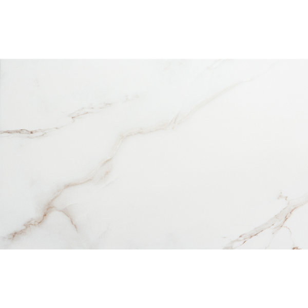 Long Island Mosaics & Tile Huntington 12" x 24" Porcelain Wall & Floor ...