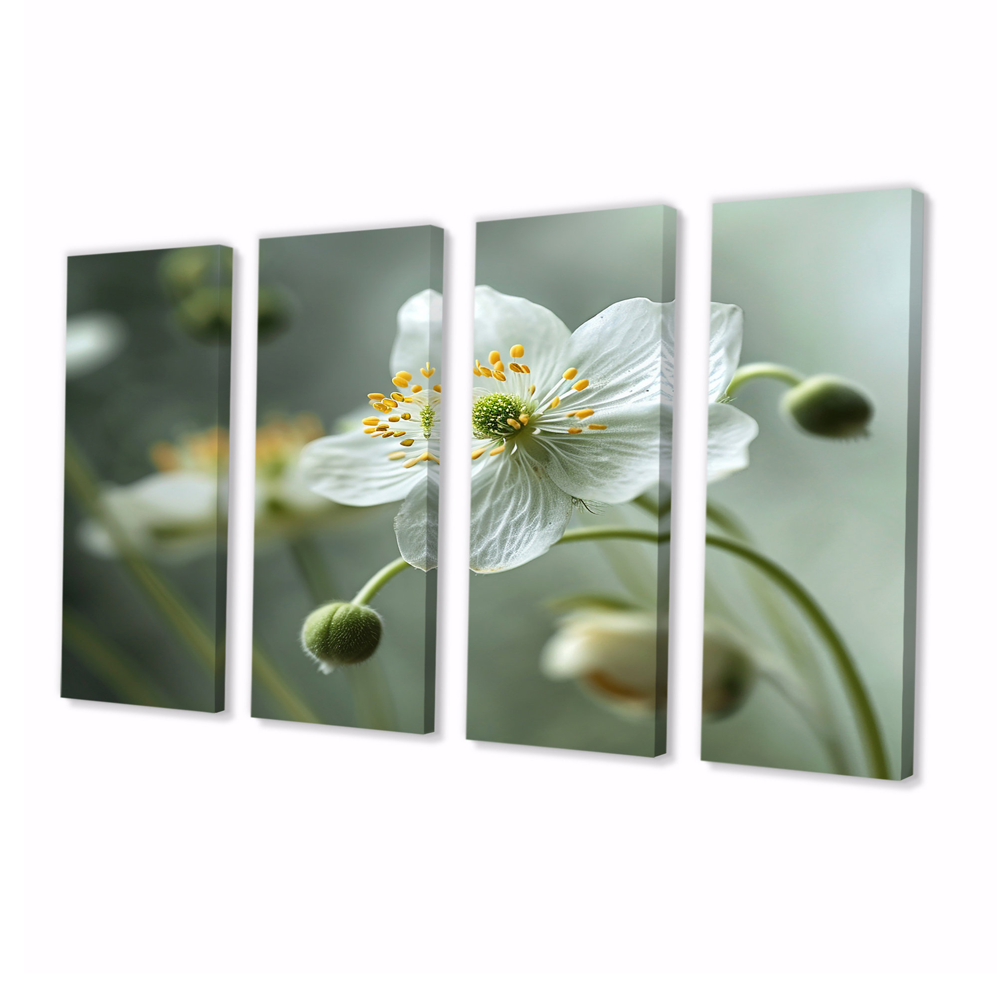 Ebern Designs Skeleton Flower White With Yellow Pollen Threads - Floral ...