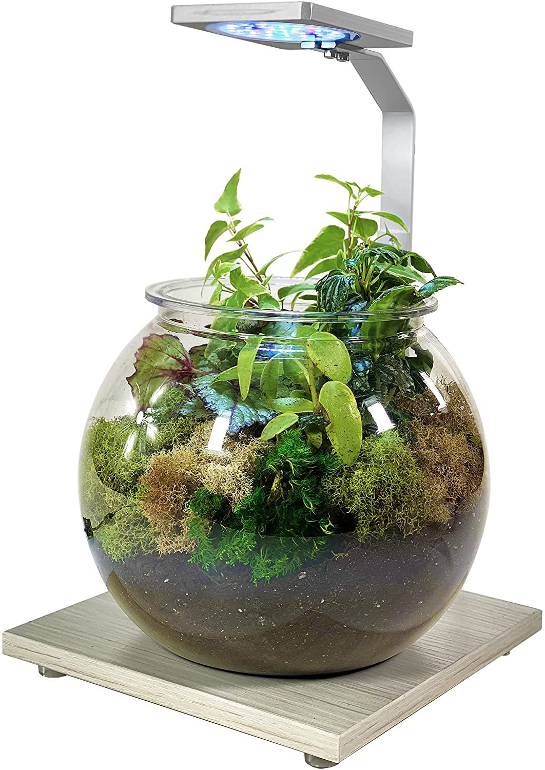 Penn Plax 1.1 Gallons Eco-Sphere Round Fish Bowl | Wayfair