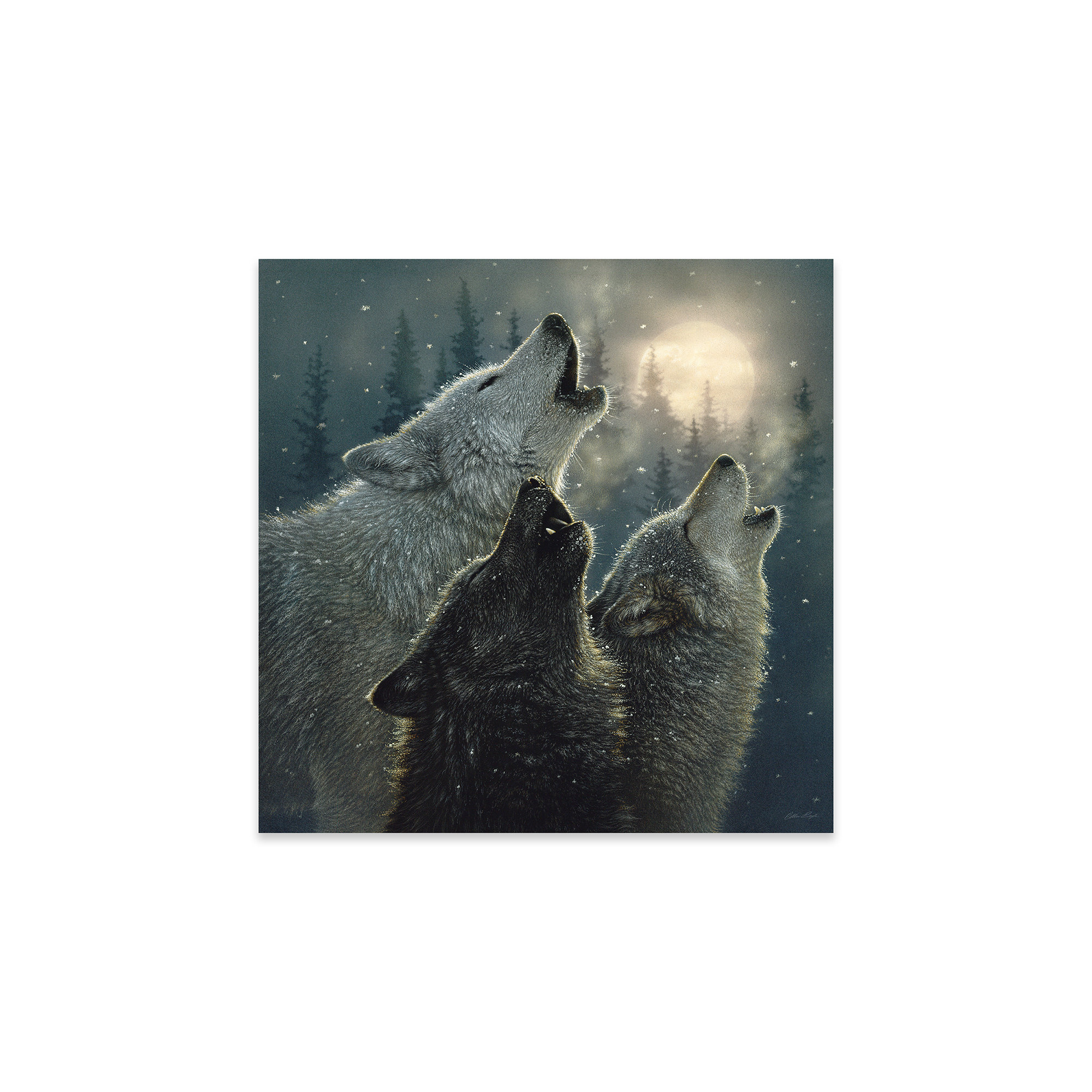 Millwood Pines Howling Wolves In Harmony, Square On Plastic/Acrylic by ...