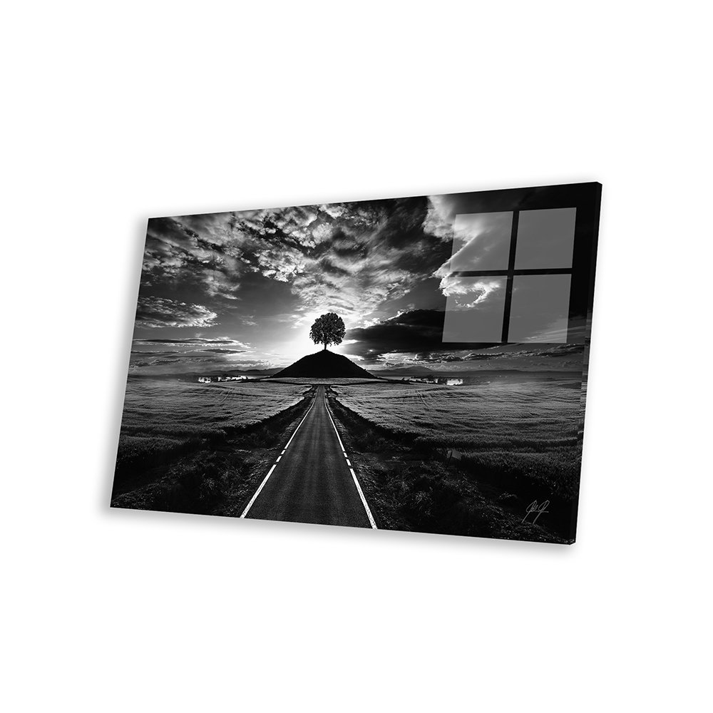 Latitude Run® Monument Tree Print On Acrylic Glass - Wayfair Canada