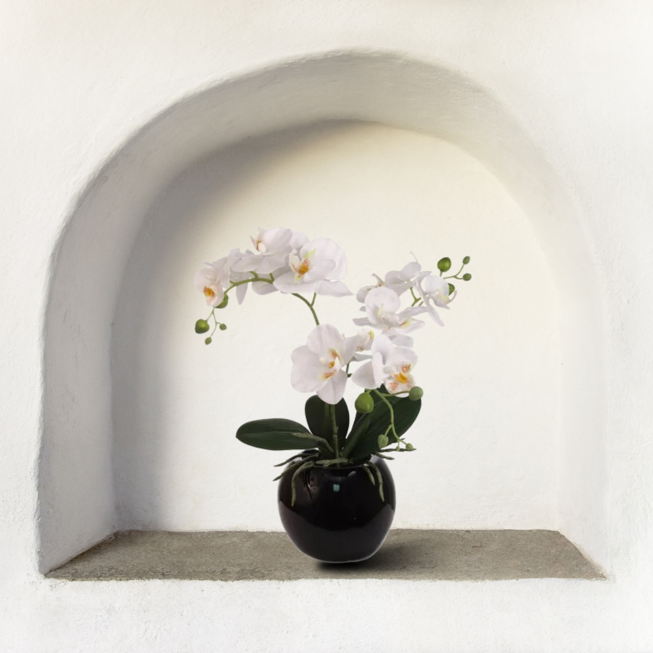 Freeport Park® Arrangement floral orchidée phalaenopsis et vase central ...