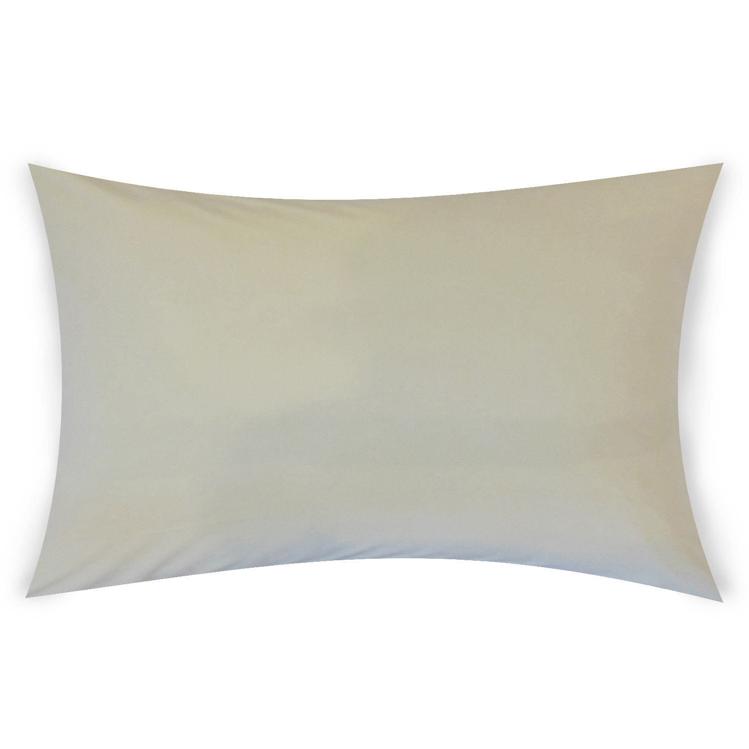 The Pillow Collection Craig 100% Cotton Lumbar Pillow | Wayfair