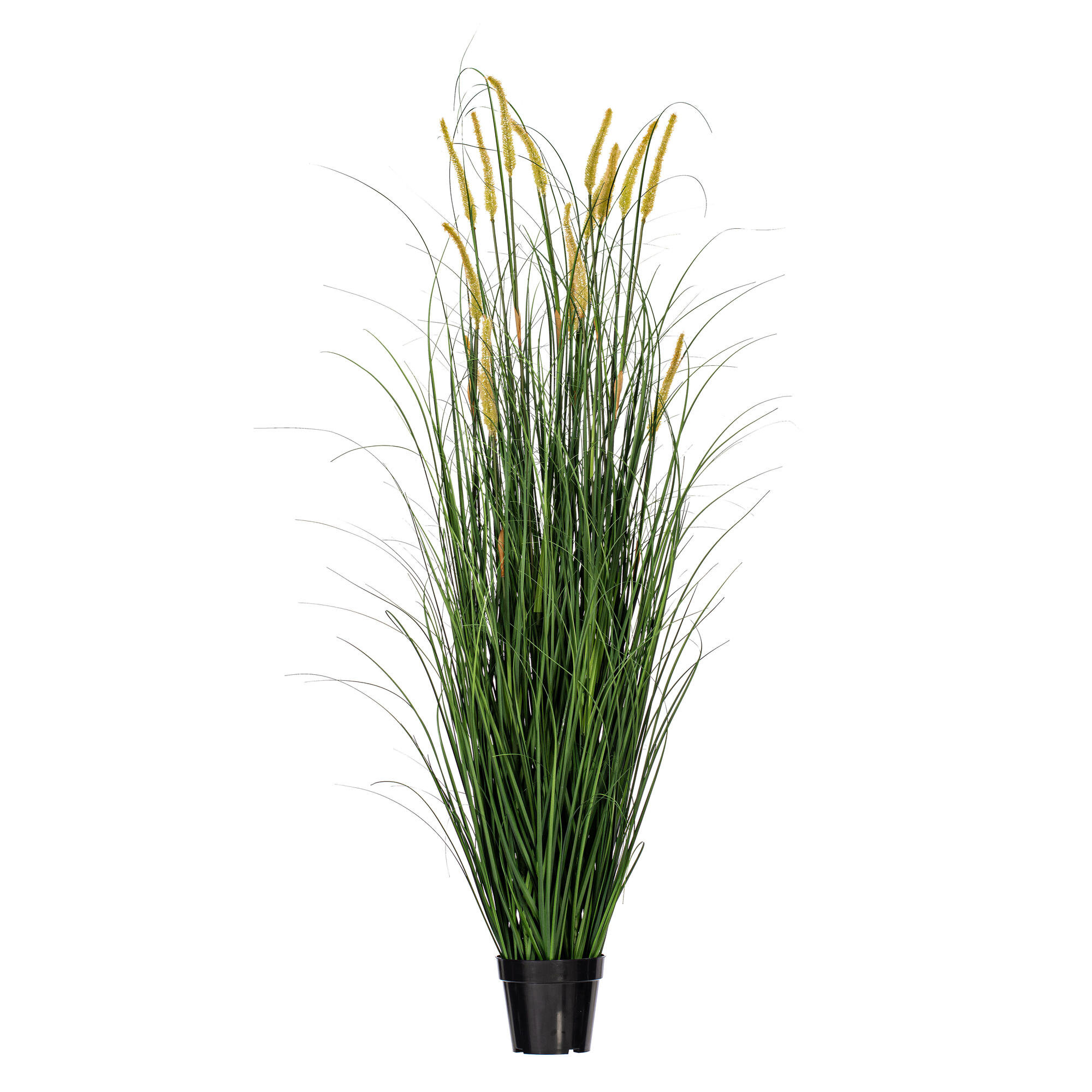 Primrue PVC Artificial Green Foxtail Grass & Reviews | Wayfair