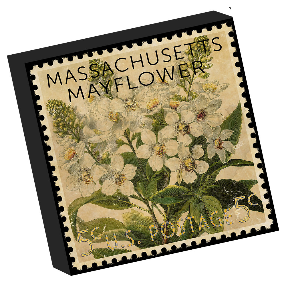 Trinx Massachusetts State Flower Mayflower Postage Stamp by Grotto ...