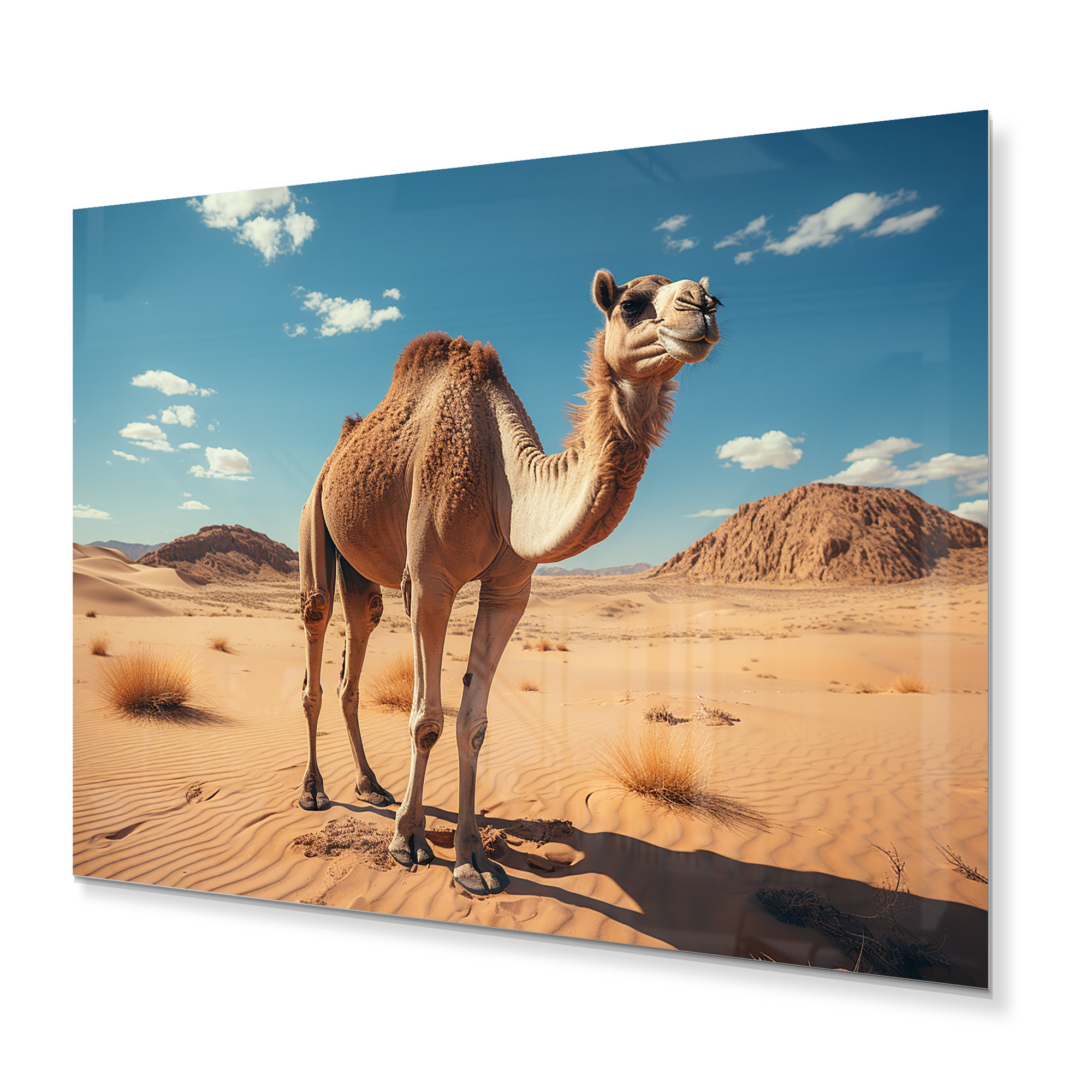 Union Rustic Camel Desert Wanderer I - Animals Metal Wall Decor ...