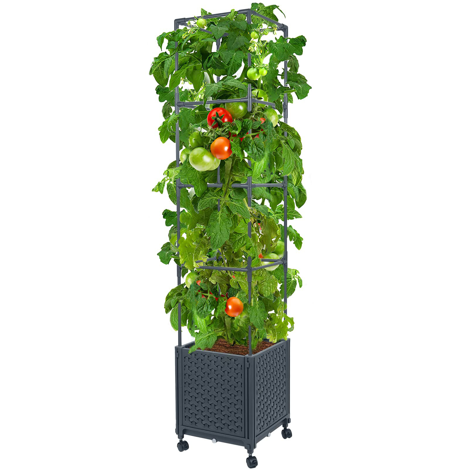Rainbow Home Raised Garden Bed Planter Box With Trellis, Tomato ...