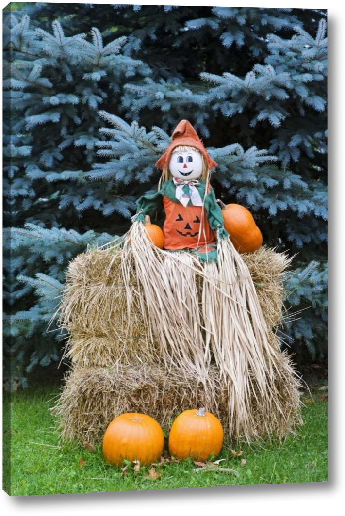 Millwood Pines Wisconsin Autumn Haystack and Halloween Decor by Dennis ...