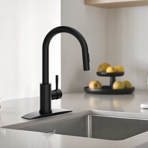 Kitchen Faucets - Wayfair Canada
