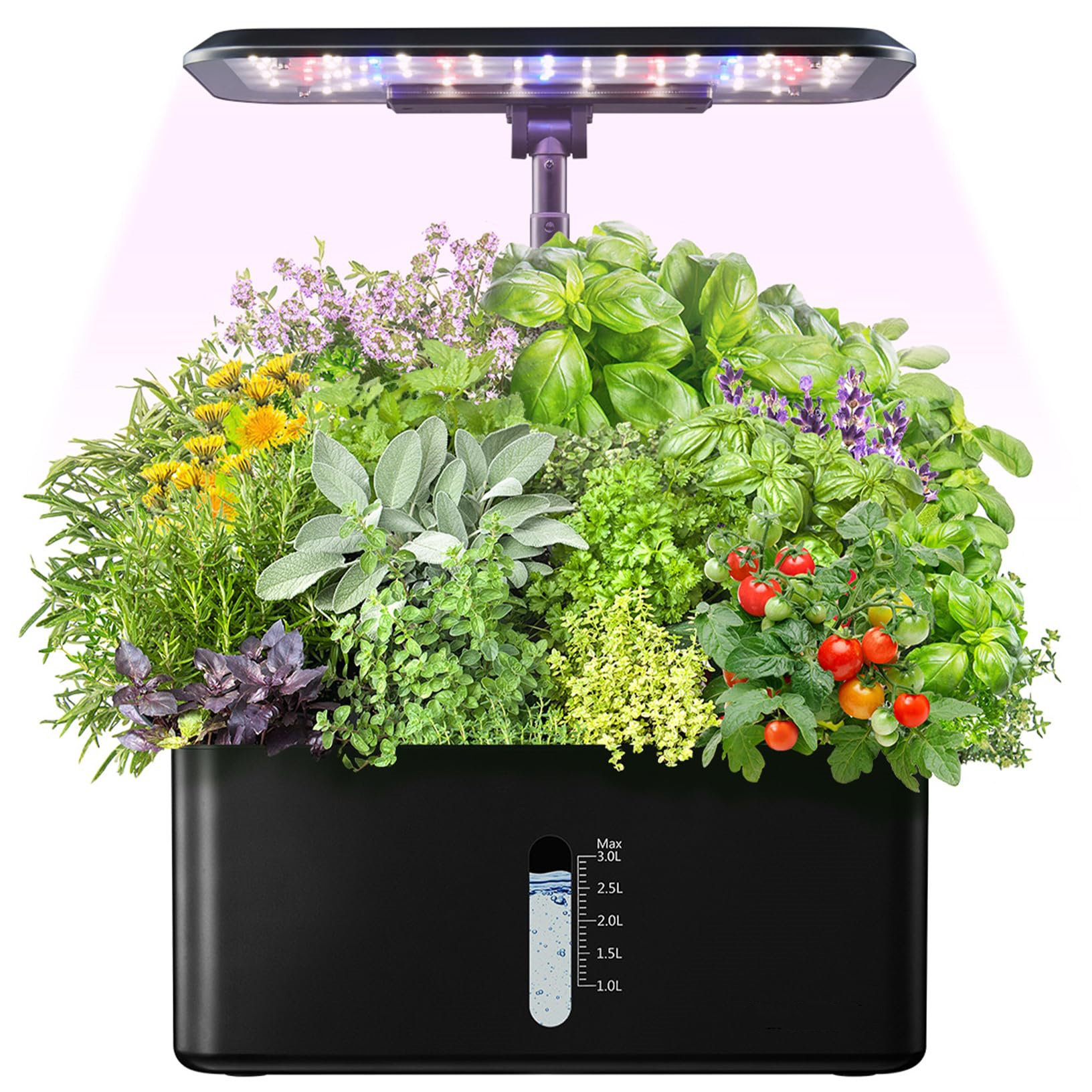 BEACHWATER POOL & SPA, LLC Hydroponics Growing System Indoor Garden ...