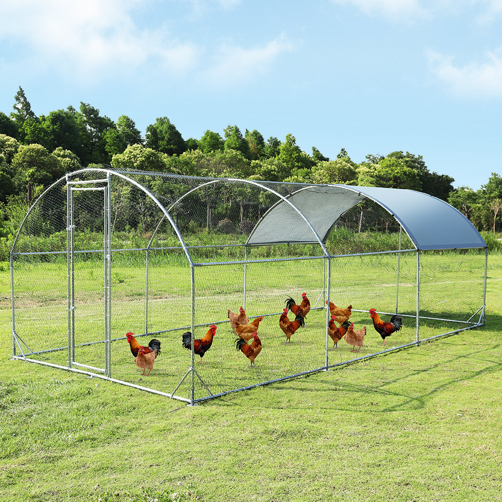 Tucker Murphy Pet™ Large Fredu Chicken Coop Metal Chicken Run with ...
