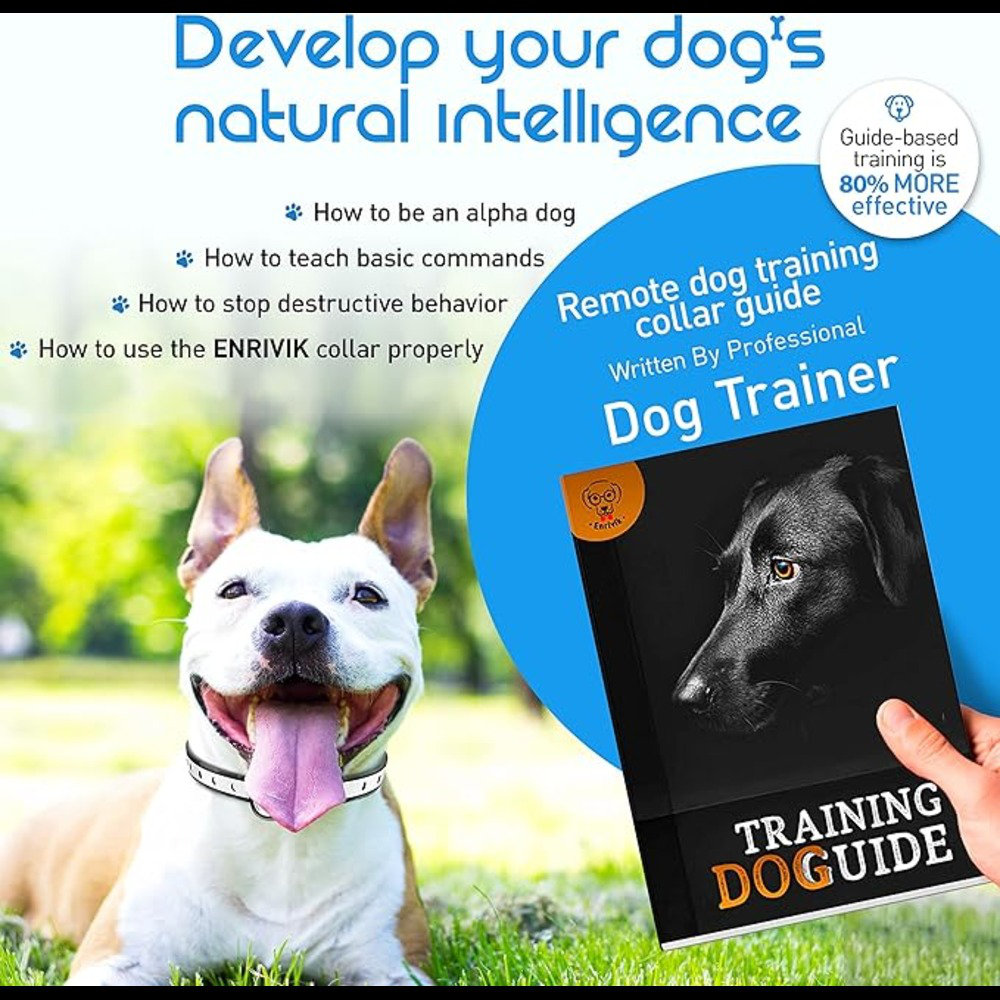 Invenitiah Portable Static Dog Training Collar | Wayfair