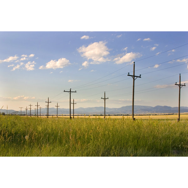Ebern Designs Electric Posts in Field by Mdilsiz - Wrapped Canvas ...