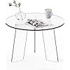 Ivy Bronx Acrylic Coffee Table Round, Circle Modern Lucite Side Table ...