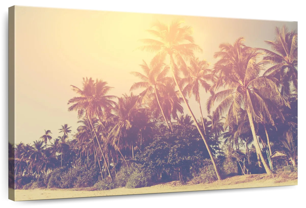 Beachcrest Home™ Gillard Hazy Palm Trees Gillard | Wayfair